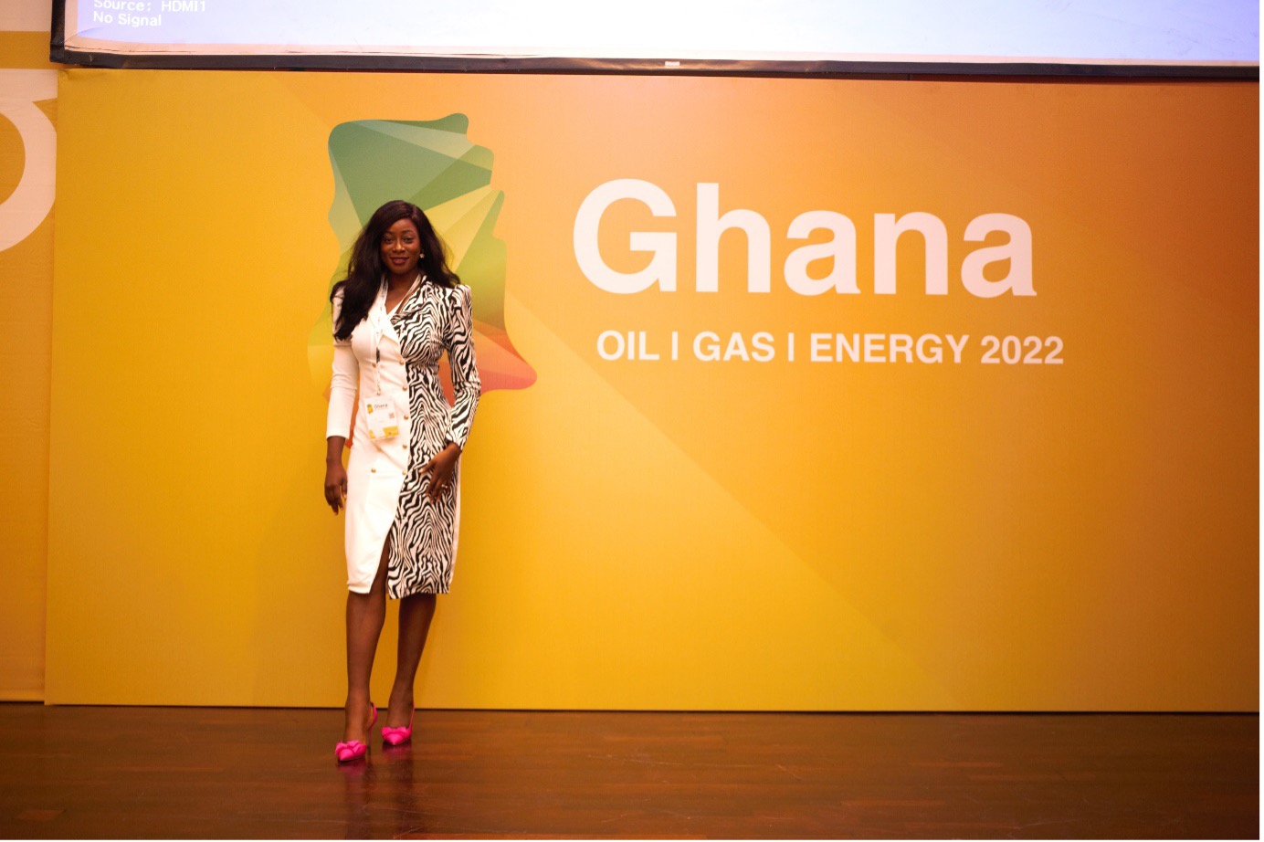 AMA O.SARPONG URGES THE ENERGY SECTOR TO INCREASE DIVERSITY AND ...